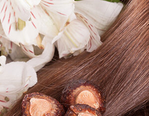 Ritucharya in Ayurveda | Ayurvedic Seasonal Regimen by Dabur