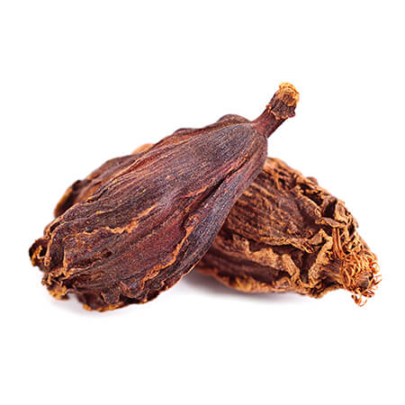 Badi Elaichi (Amomum Subulatum) - Vrihat Ela Medicinal Uses & Ayurvedic ...