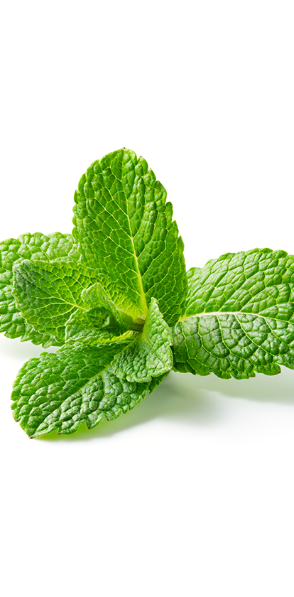 Dabur Rheumatil Tablet: Herbal / Ayurvedic Medicine for Joint Pain | Dabur